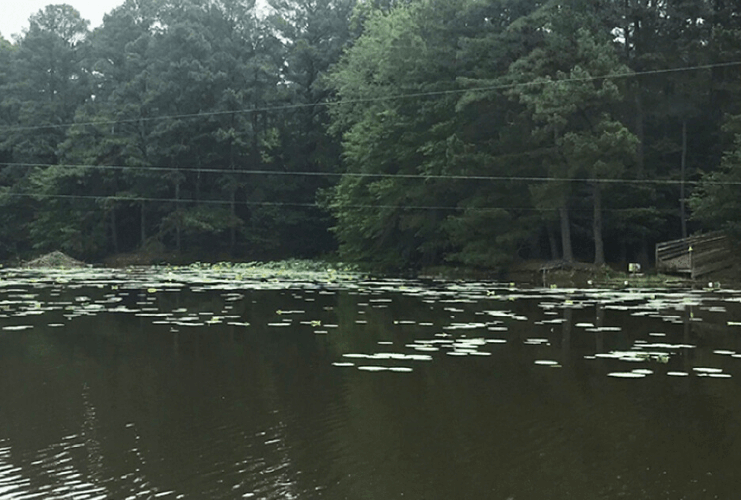 ProcellaCOR Aquatic Weeds | SePRO Corporation