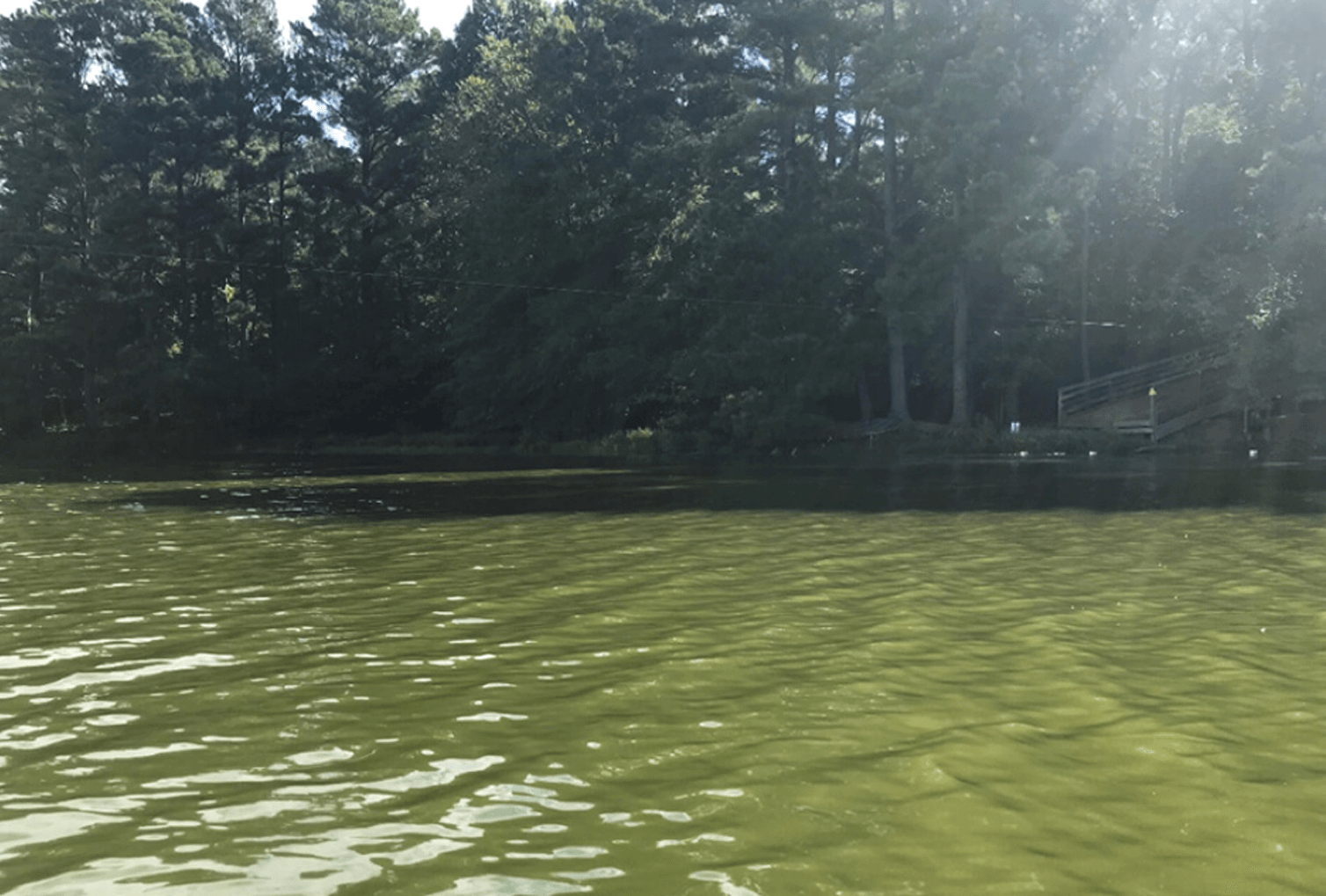 ProcellaCOR Aquatic Weeds | SePRO Corporation